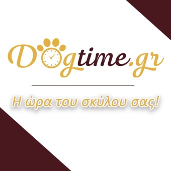 Κοκόνι: Γιατί είναι ένα περιζήτητο κατοικίδιο για όλους; - Dogtime.gr