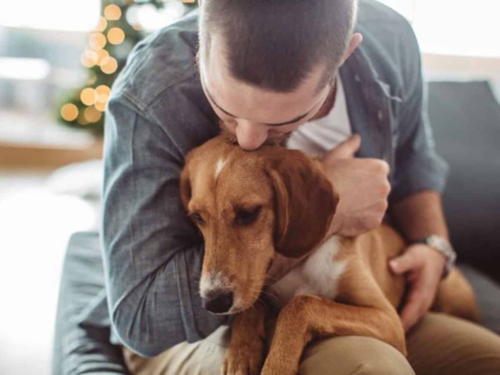 Συχνές ασθένειες σκύλων: Πως να τις αντιμετωπίσεις! - Dogtime.gr