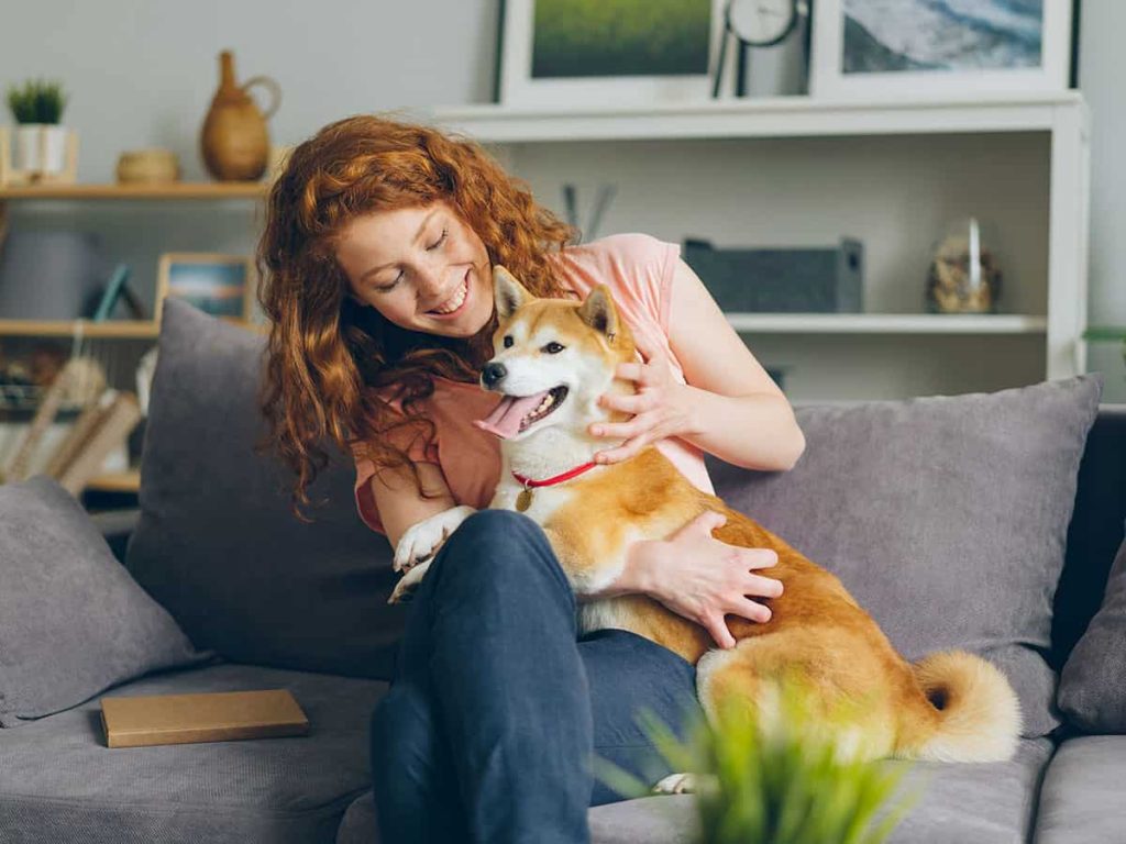 Ποια σκυλιά δεν μυρίζουν άσχημα & πως εξηγείται; - Dogtime.gr